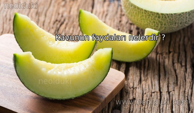 Kavunun faydaları nelerdir? - Kavun zararları - NE OLDU Kİ
